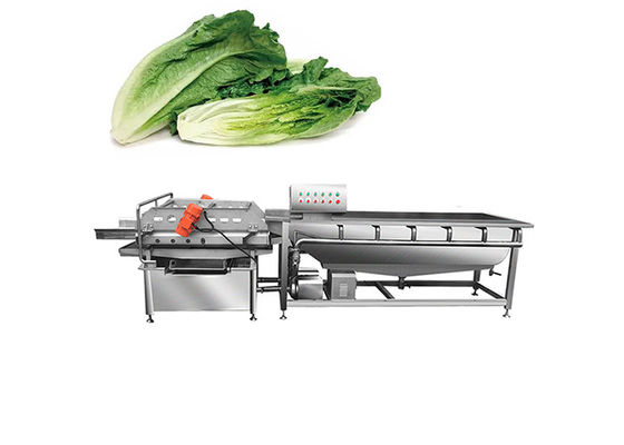 4.8KW Automatic Vegetable Washer 220V / 380V Lettuce Cleaning Machine