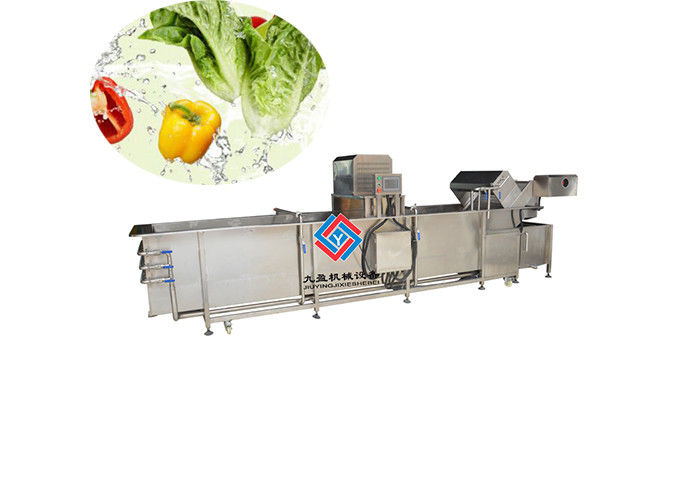 1000 KG Fruit And Vegetable Cleaner Machine , Garlic Lettuce Herb ...