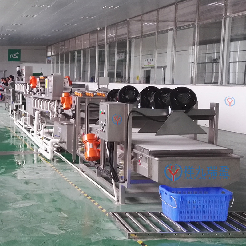 1000kg Salad Production Line