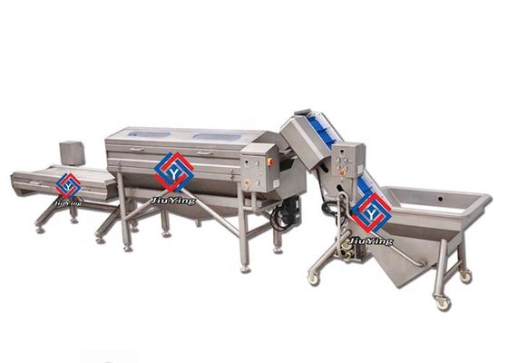 Restaurant SUS #304 Material Salad Vegetable Production Line For Food ...