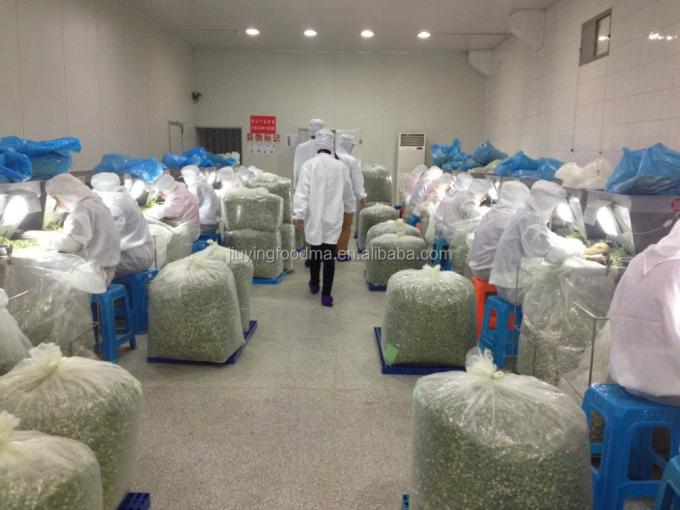 84 Needles Premium Version Automatic Brine Injector Machine for Meat ...