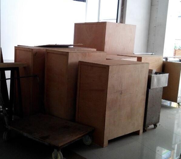 2000kg/hr 220V 1PH Stainless Steel Vegetable Cutter Parsley Chopper Machine